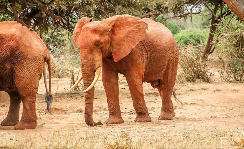 Our Tours In Cameroon | Discover-Cameroon