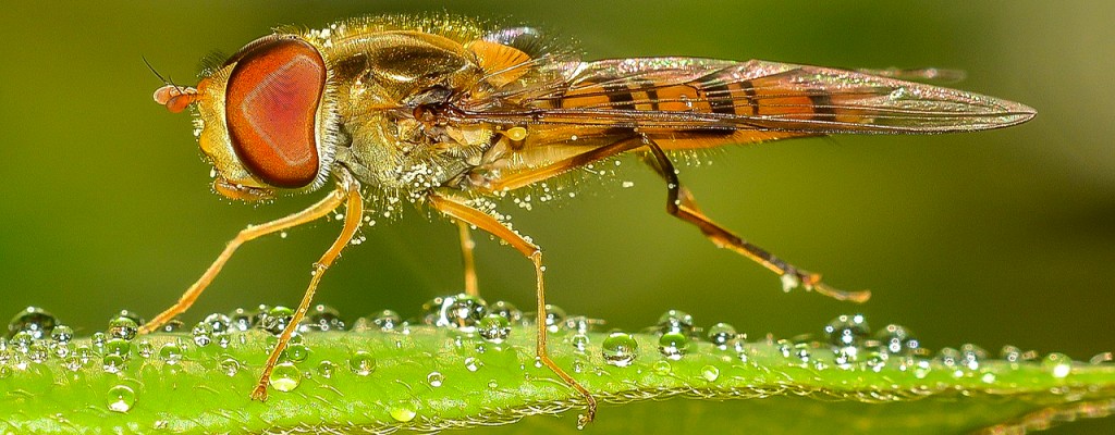 Visa, Health And Safety | Discover-Cameroon