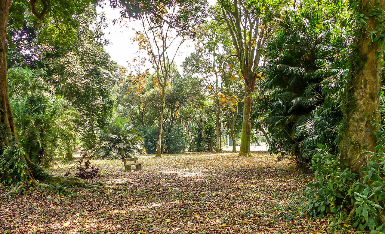 Cameroon Attractions | Discover-Cameroon