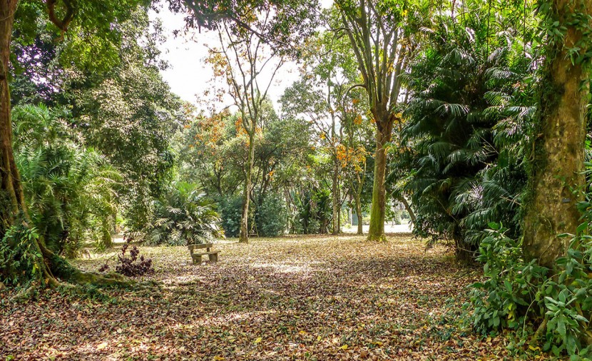 Cameroon Attractions | Discover-Cameroon