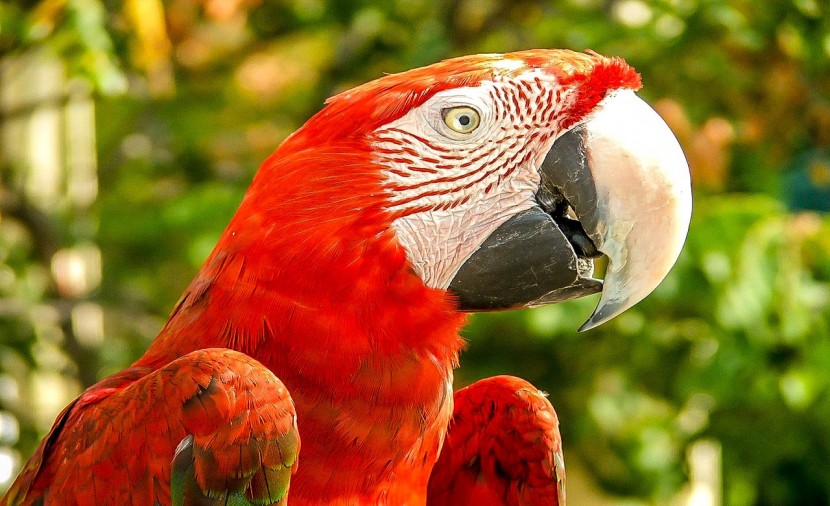 The Regions Of Cameroon | Discover-Cameroon