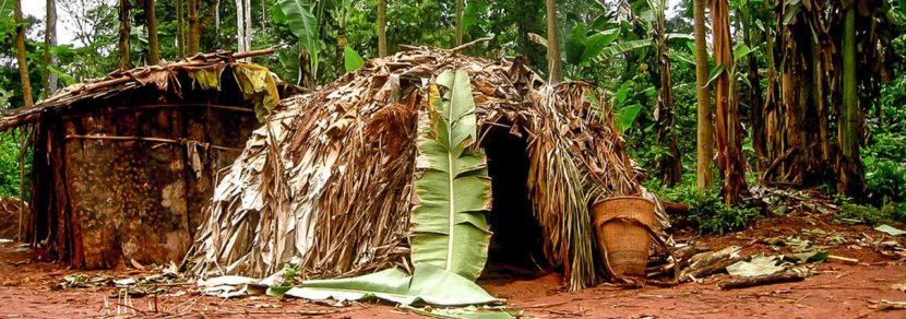 La Réserve Du Dja | Discover-Cameroon